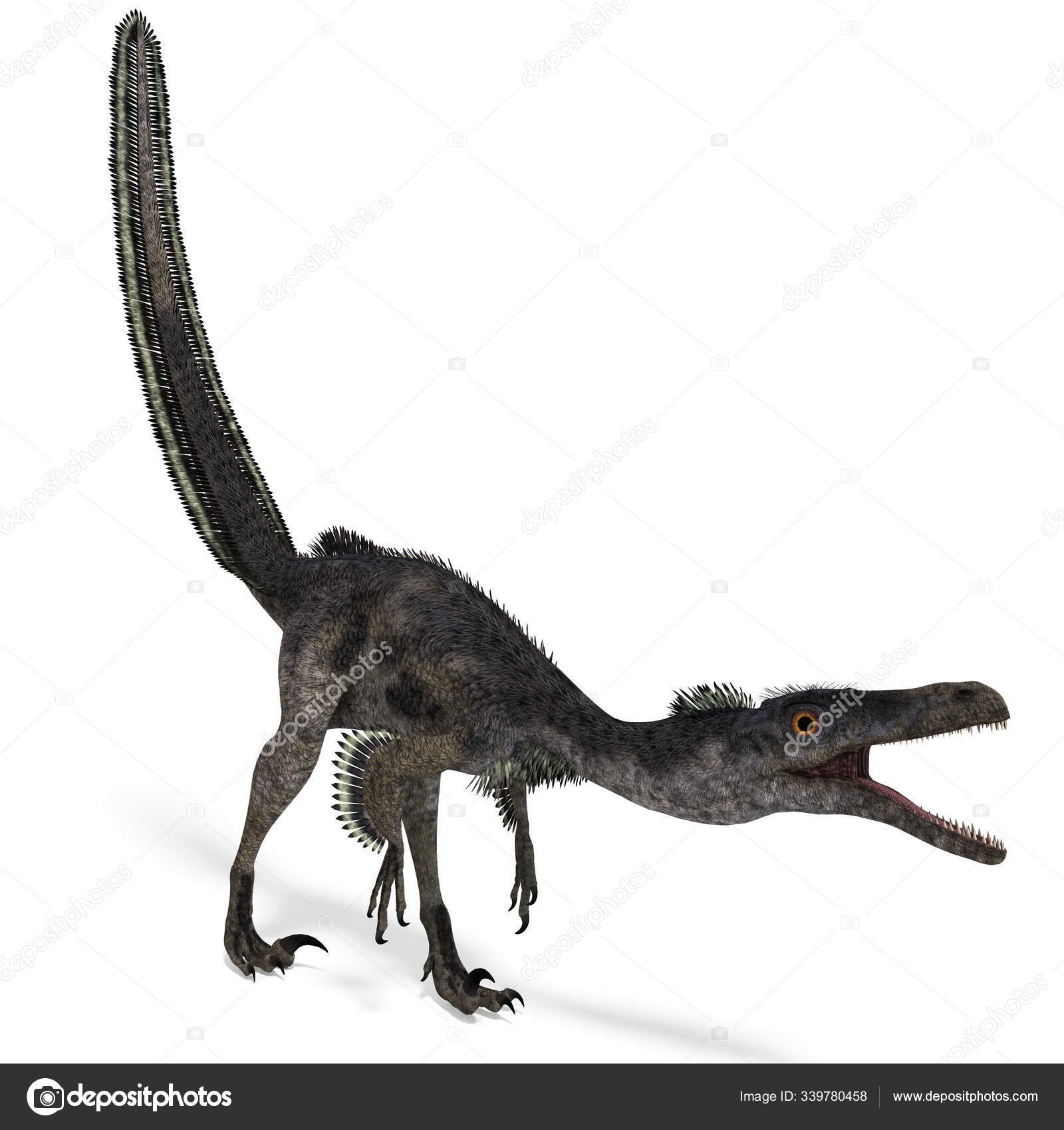 Dinosaur Velociraptor Rendering Clipping Path Shadow White — Stock ...