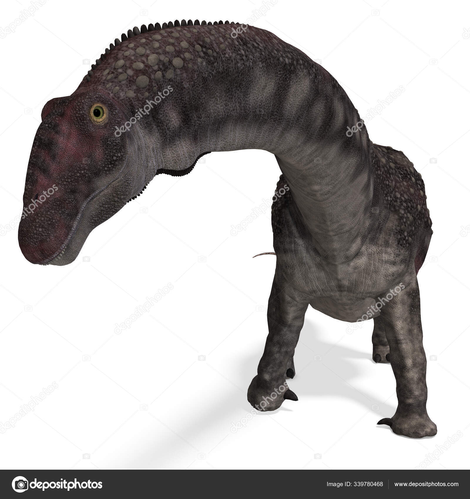 Dinosaur Diamantinasaurus Rendering Clipping Path Shadow White — Stock ...