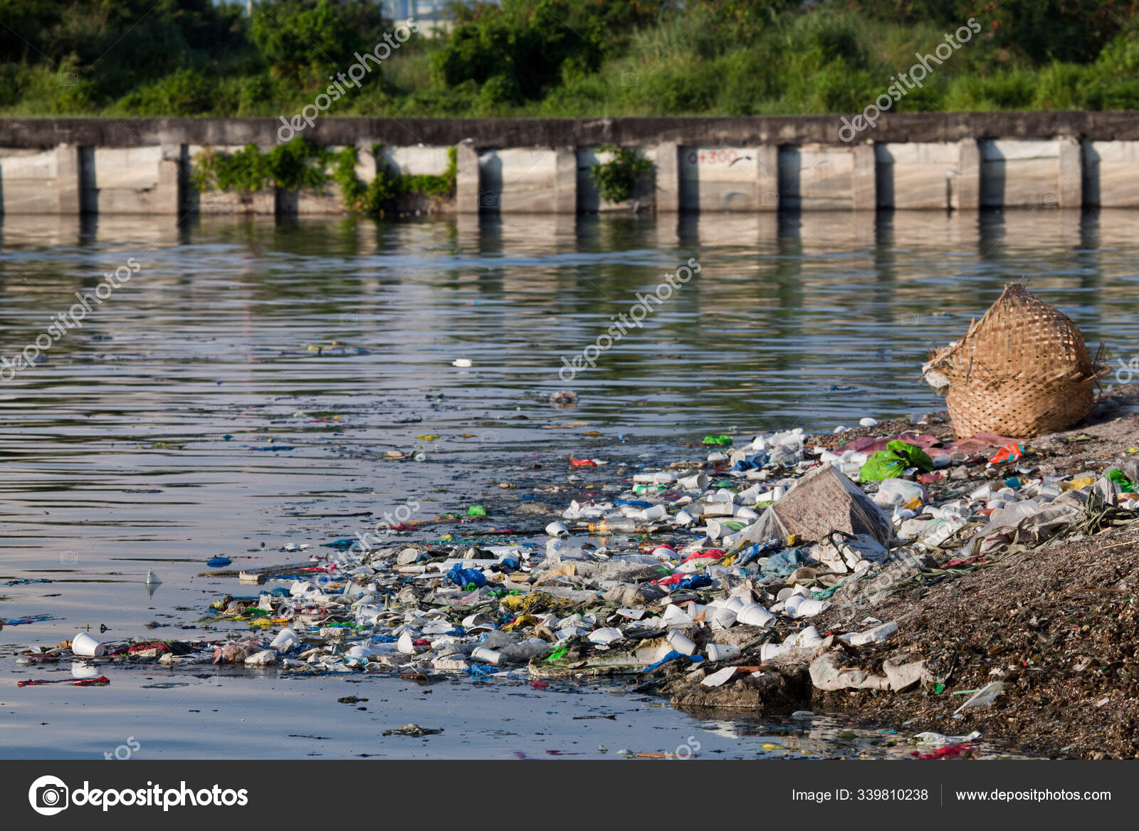 Water Pollution Heavily Polluted River Inlet Various Garbage Shore ...