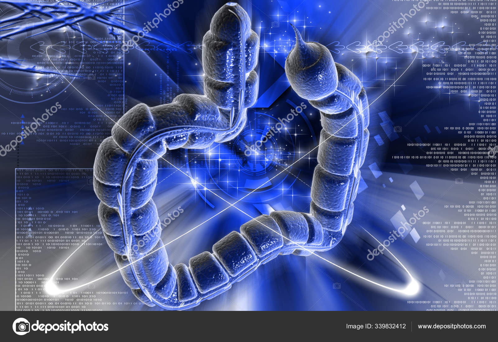 Digital Illustration Large Intestine Colour Background Stock Photo by ...