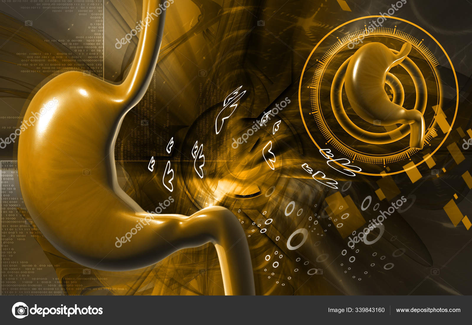 Digital Illustration Stomach Colour Background — Stock Photo ...