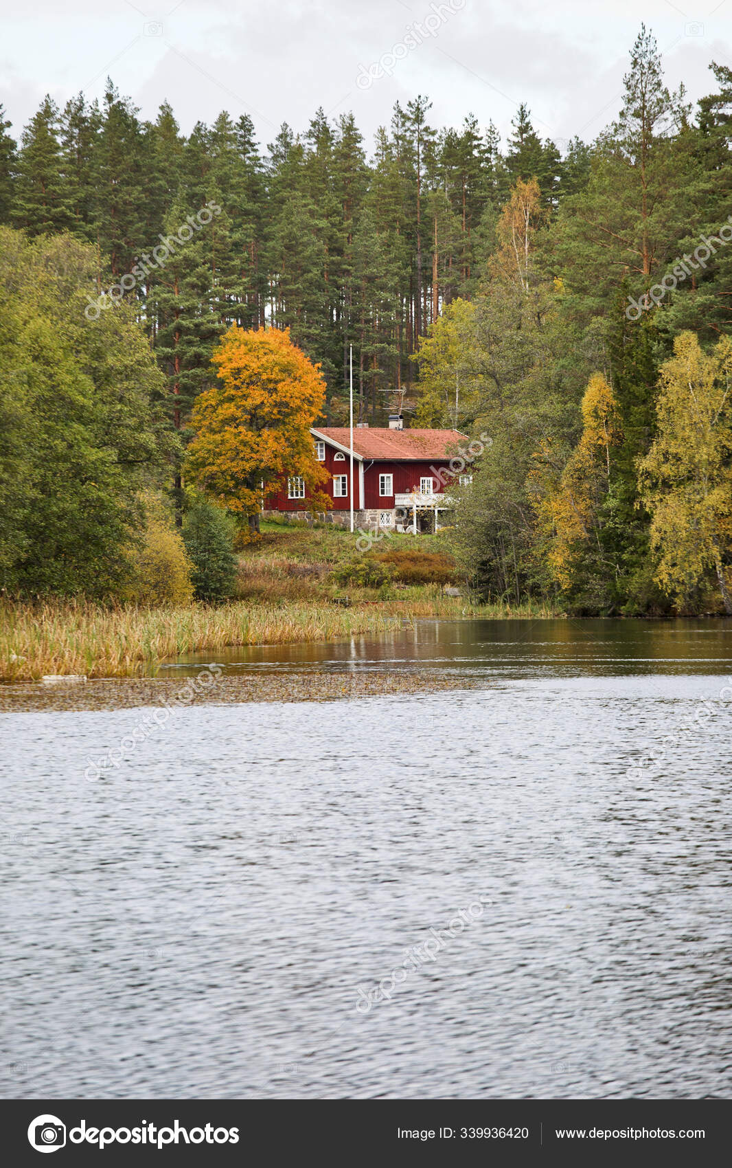 Red Cottage Forest Lake — Stock Photo © PantherMediaSeller #339936420