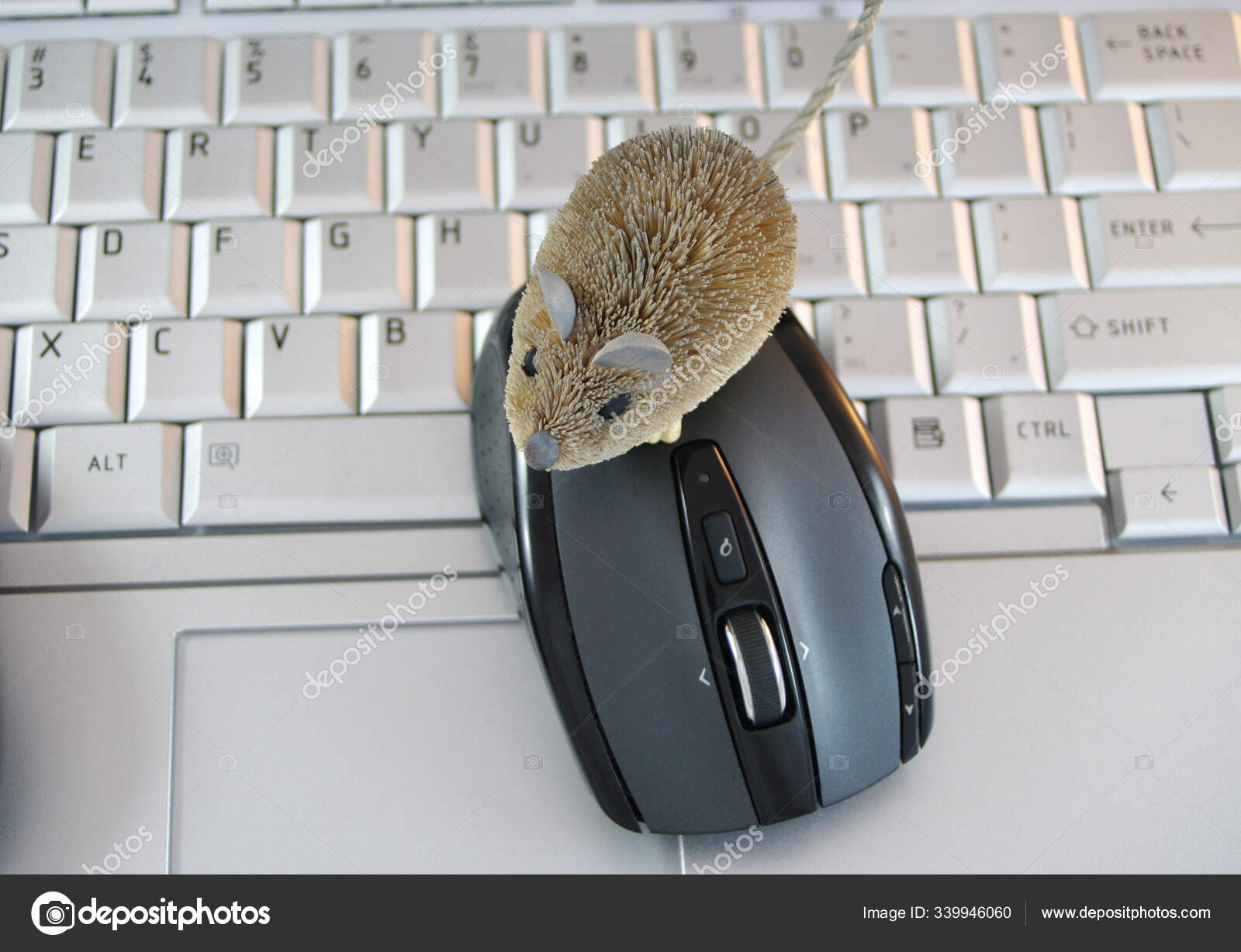 Computer Keyboard Two Mouse — Stock Photo © PantherMediaSeller #339946060