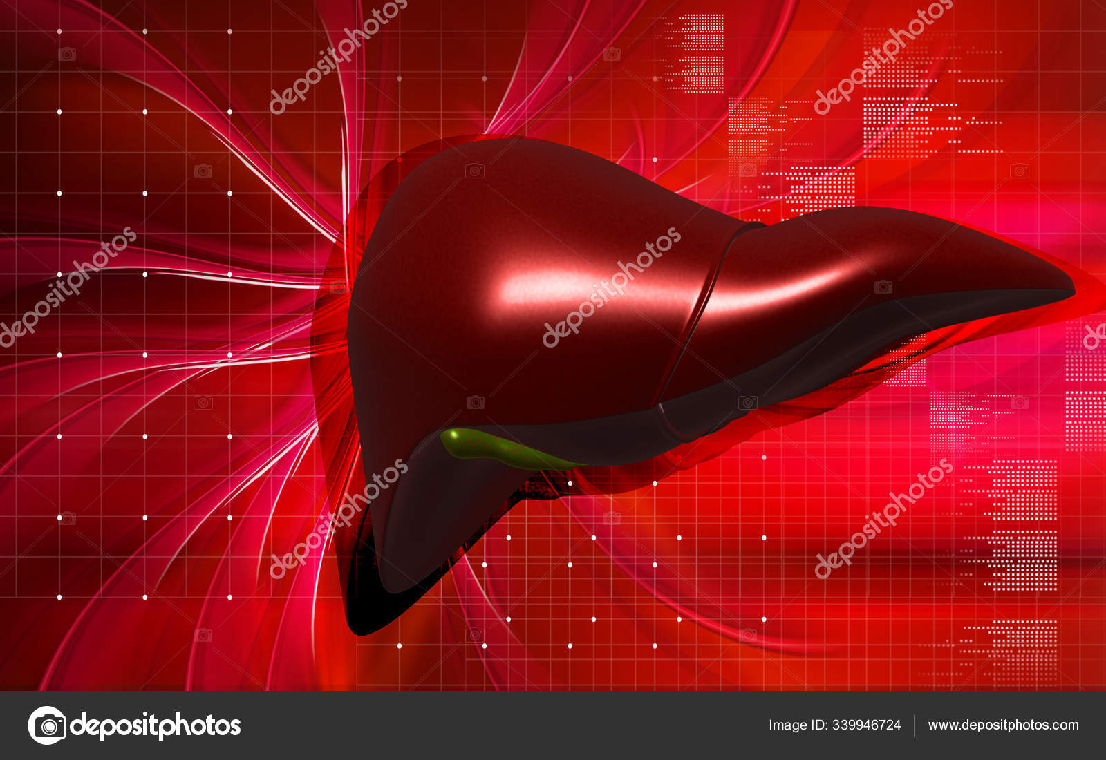 Digital Illustration Liver Colour Background Stock Photo by ...
