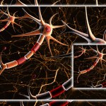 Neuronet Stock Photo by ©whitehoune 24598607