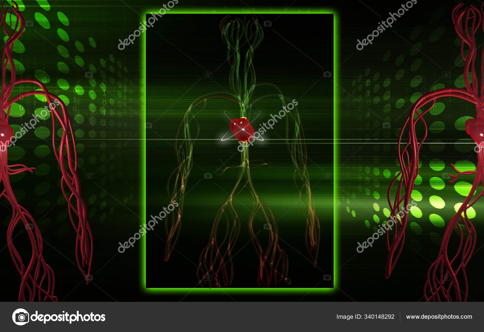 Digital Illustration Vascular System Colour Background Stock Photo by ...