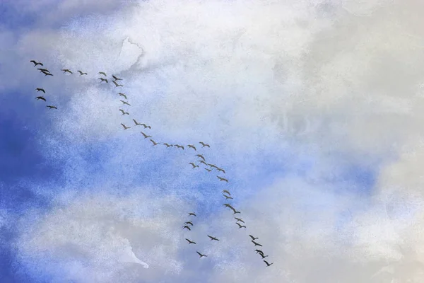 birds (cranes) on the flight in formation. photo collage,texture ...