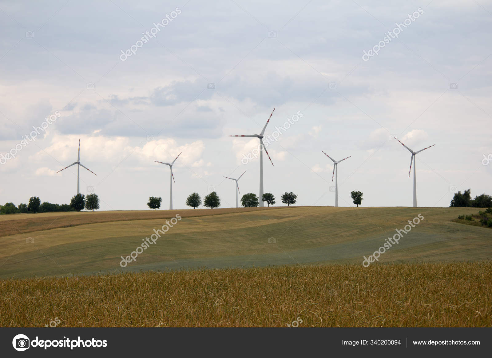 Grain Field Wind Turbines Trees Background Cloudy Sky Early Summer ...