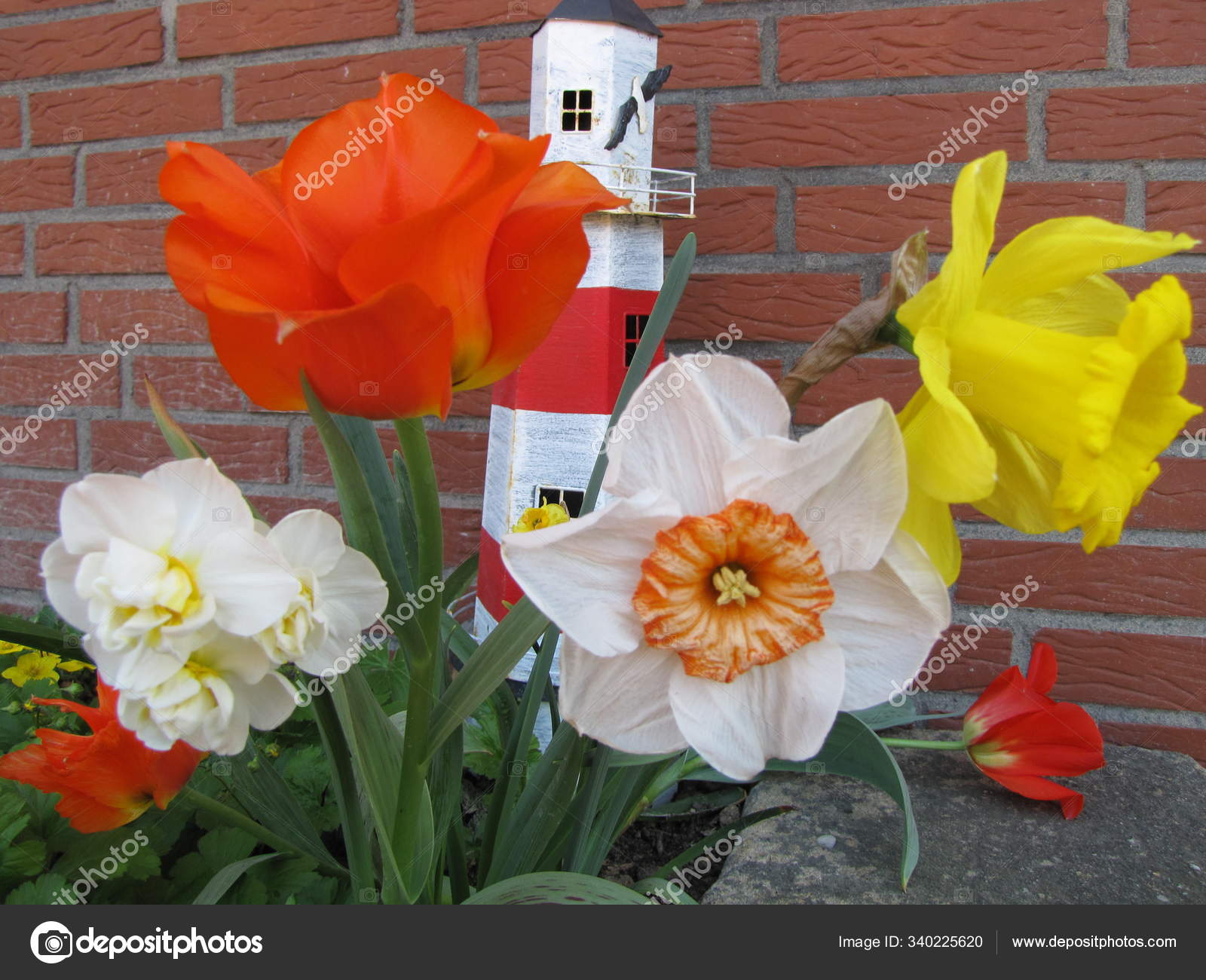 Spring Flowers Lighthouse | Best Flower Site