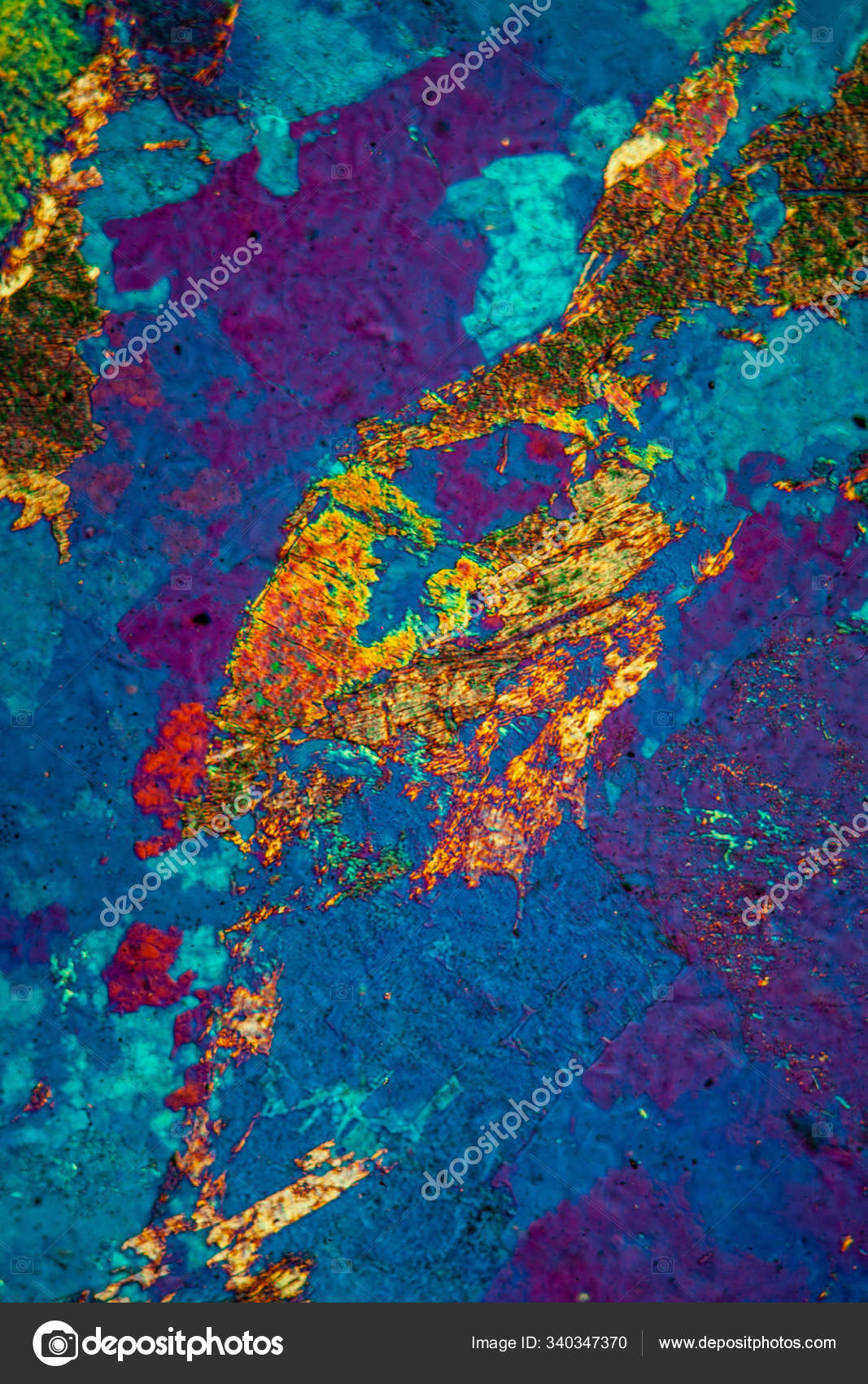 Gneiss Roche Métamorphique Sous Microscope 100X — Photo de stock par ...