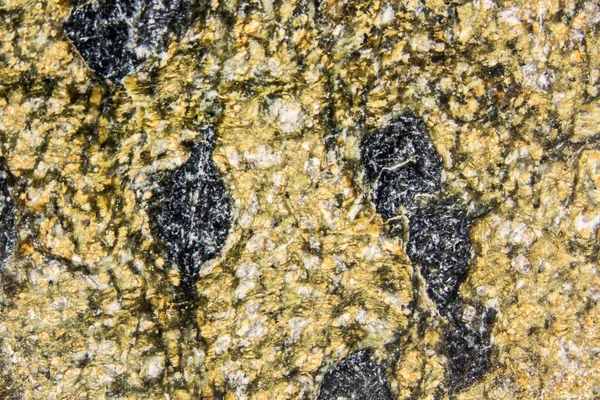 Minerals under microscope Stock Photos, Royalty Free Minerals under ...