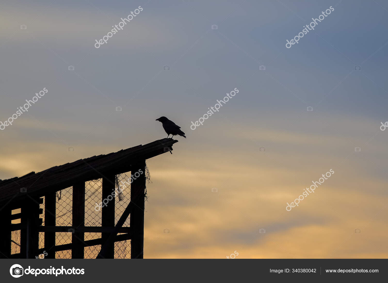 Silhouette Raven Sunset — Stock Photo © PantherMediaSeller #340380042