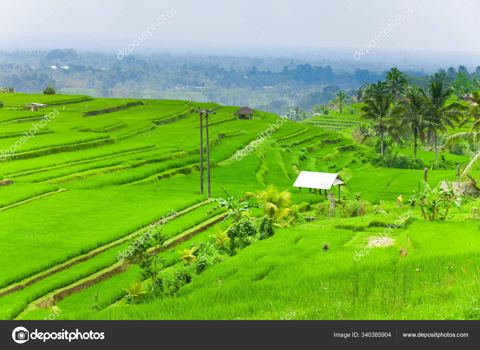 Rice Terraces Bali — Stock Photo © PantherMediaSeller #340385904