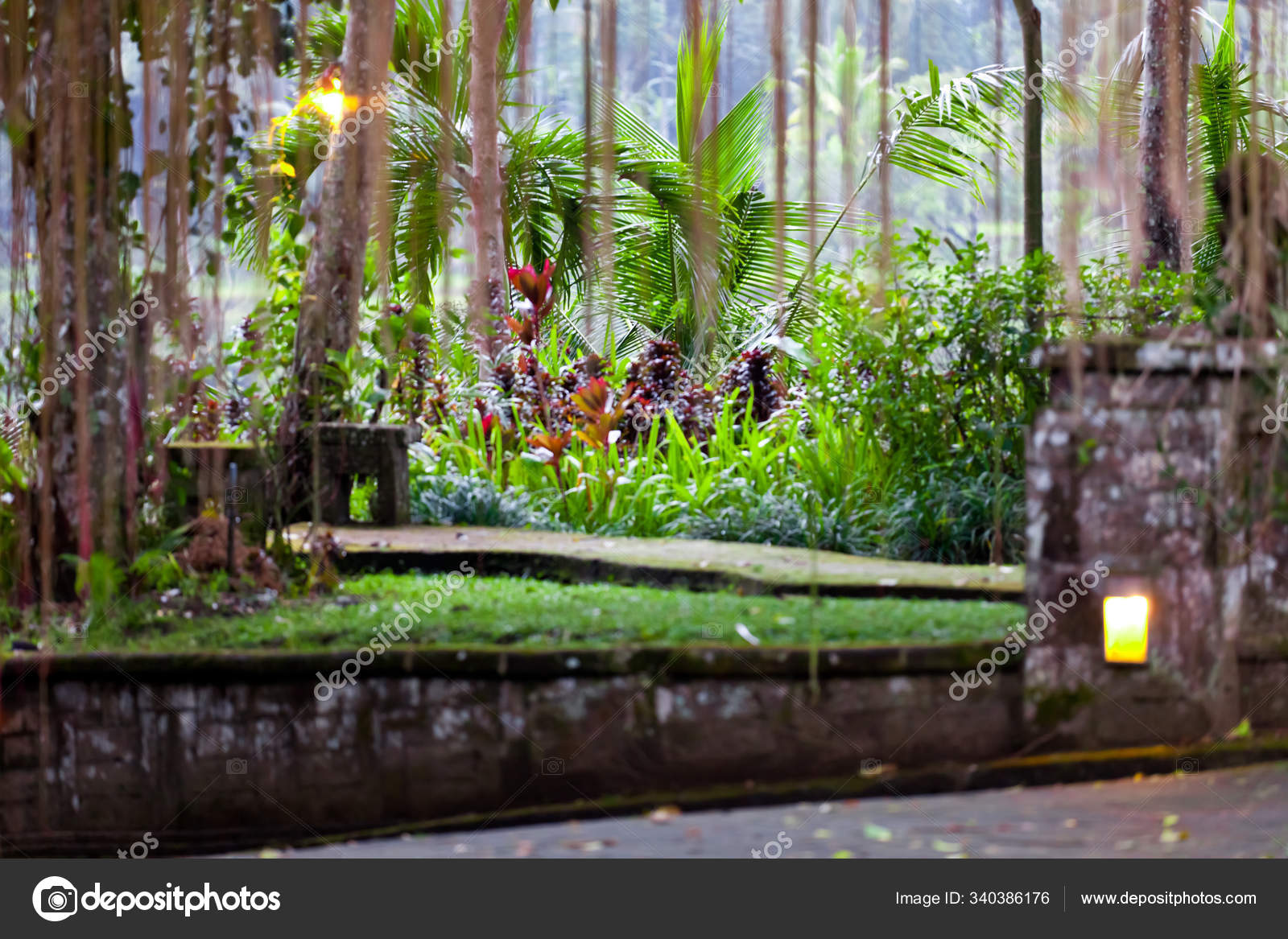 Flora Species Bali — Stock Photo © PantherMediaSeller #340386176