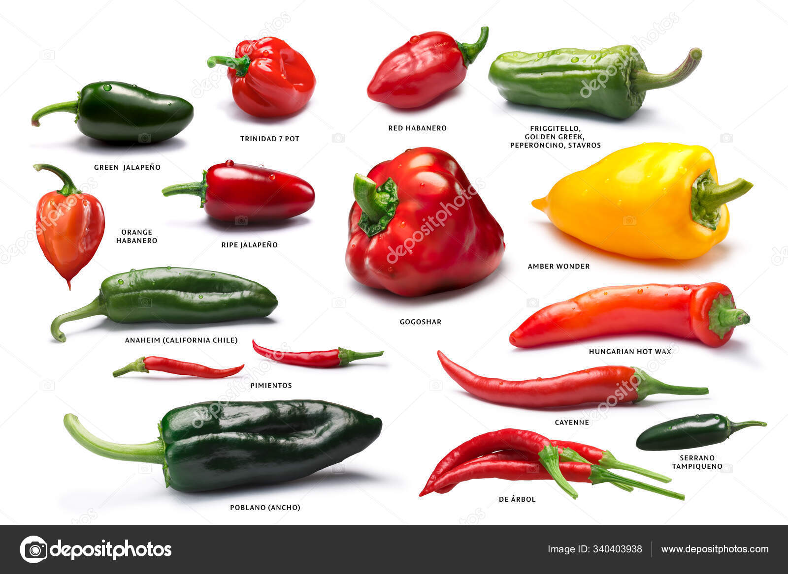 Different Capsicum Peppers Fruits Clipping Path Each Pepper Shadows ...