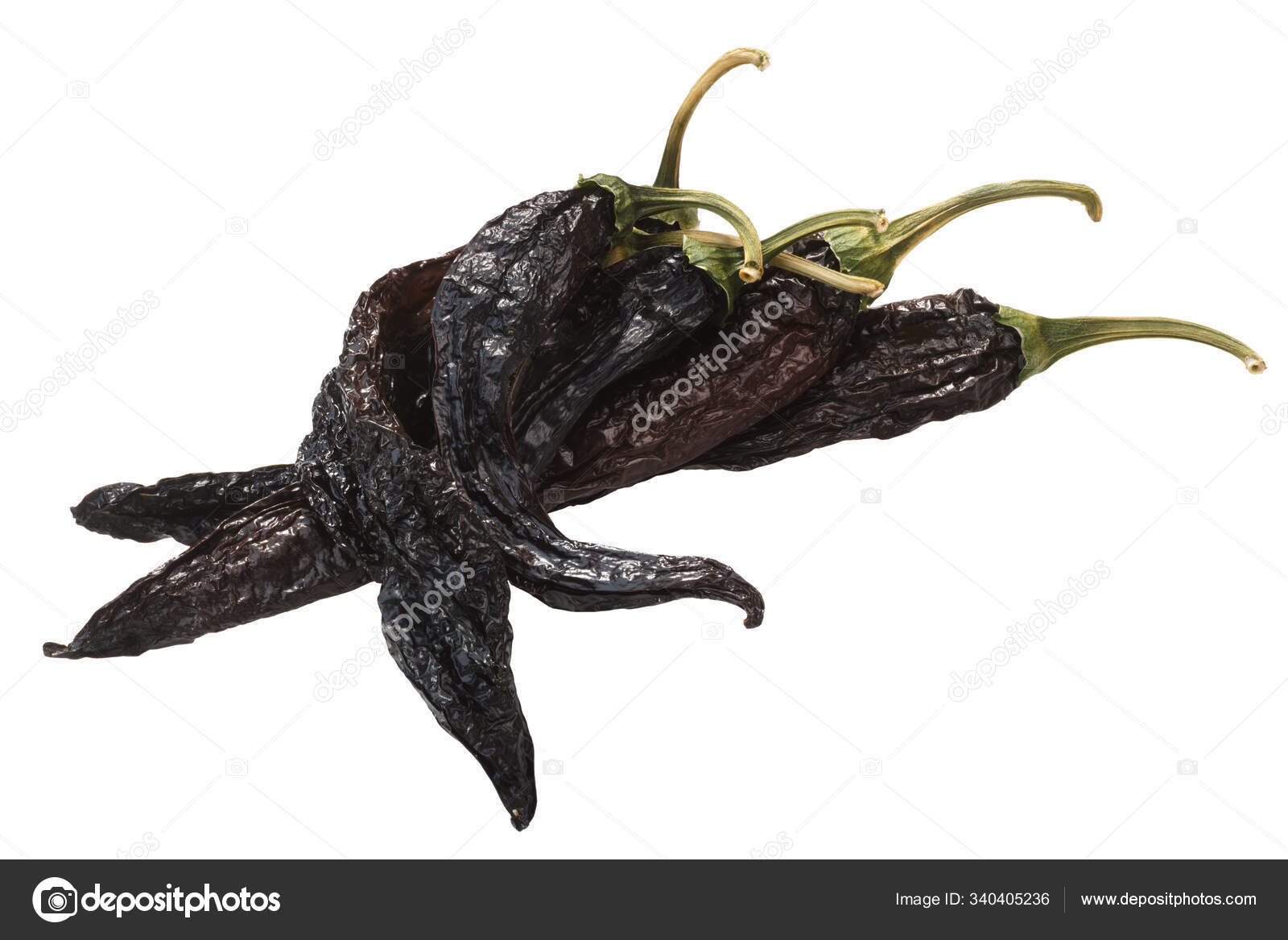 Pasilla Bajio Dried Chilaca Peppers Chile Negro Single Pods — Stock ...