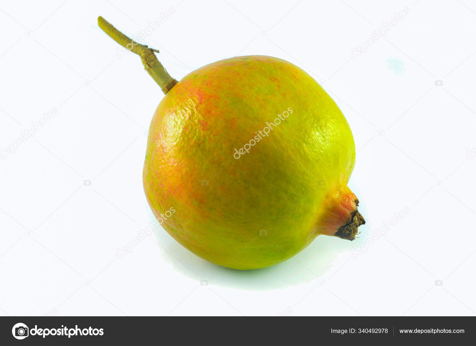 Fruta Fresca Granada Verde Granada Fruta Tropical Aislada Sobre Fondo ...