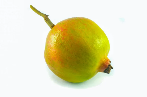 Palia fotos de stock, imágenes de Palia sin royalties | Depositphotos