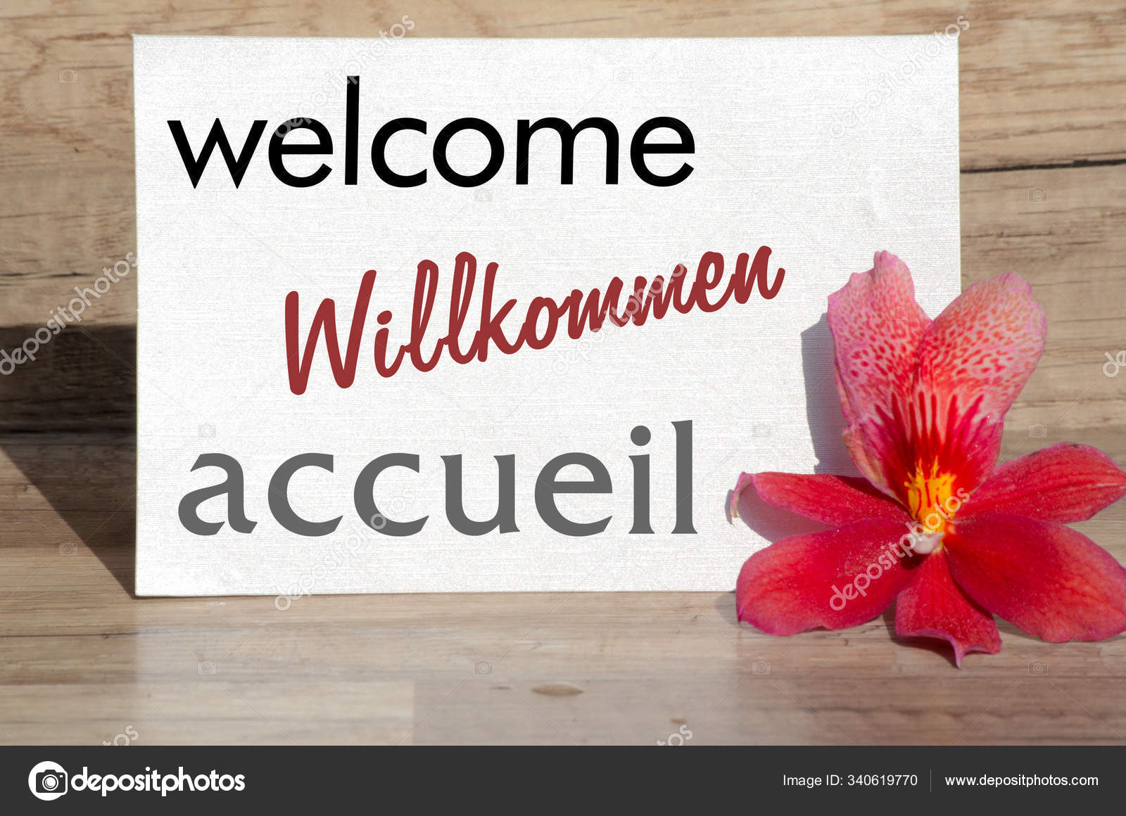 Welcome Text Sign Flowers Voucher — Stock Photo © PantherMediaSeller ...