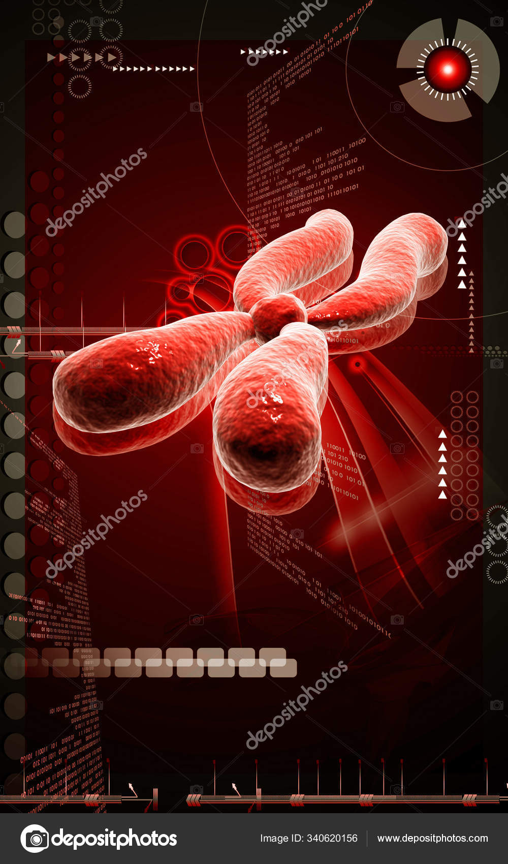 Digital Illustration Chromosome Colour Background Stock Photo by ...