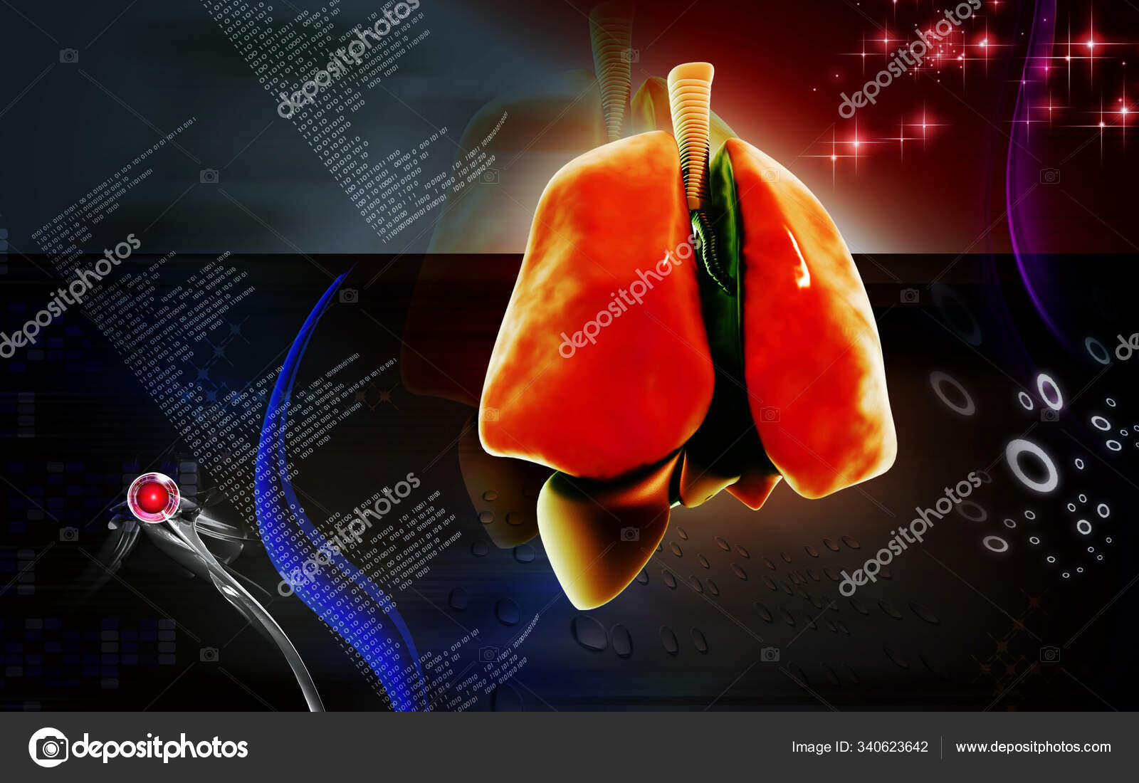 Digital Illustration Human Lungs Colour Background Stock Photo by ...