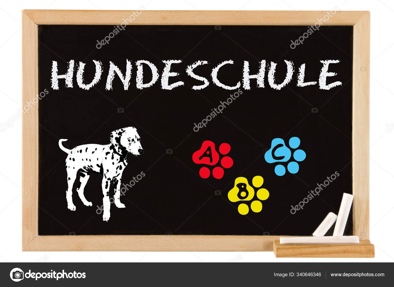 Concept Dog School Collage Shield Dog Training — Stock Photo ...