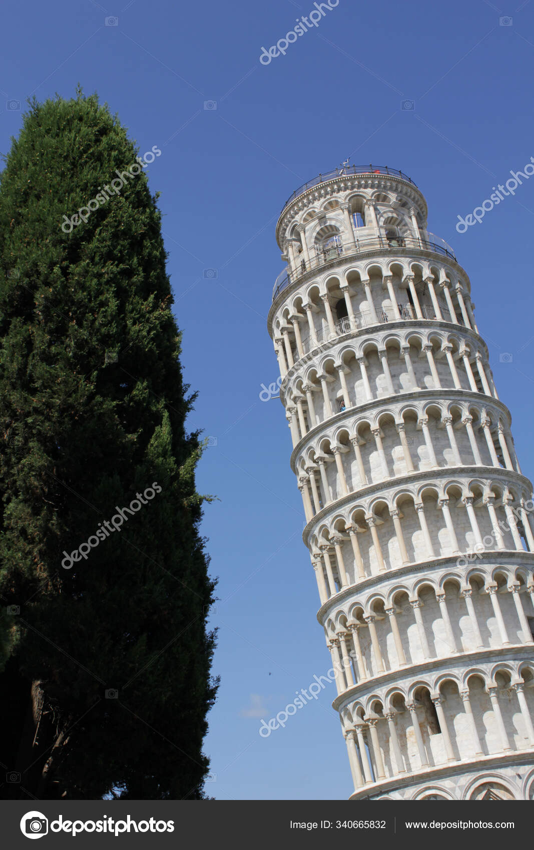 Leaning Tower Pisa Green Tree – Stock Editorial Photo ...