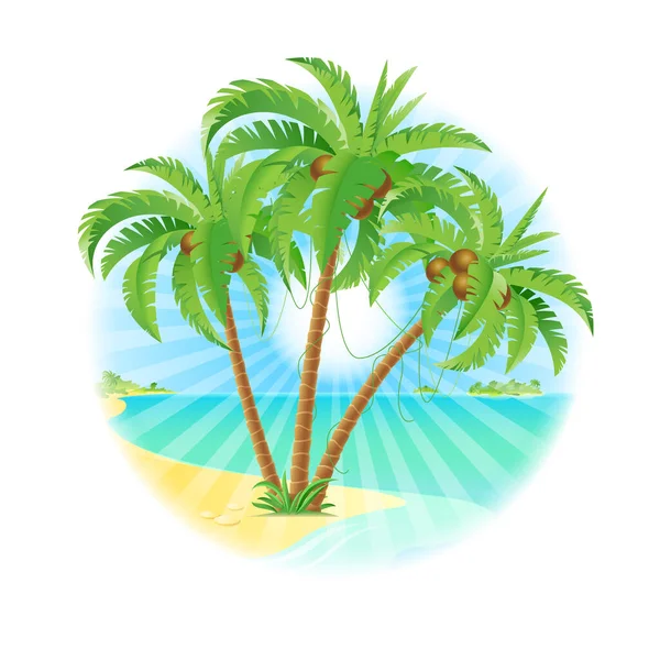 Coconut tree cartoon transparent background Stock Photos, Royalty Free ...
