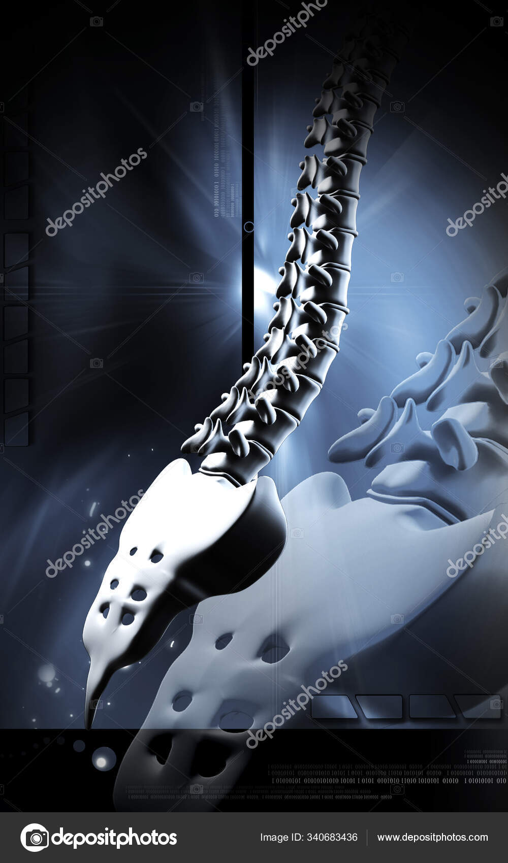 Digital Illustration Back Bone Colour Background Stock Photo by ...