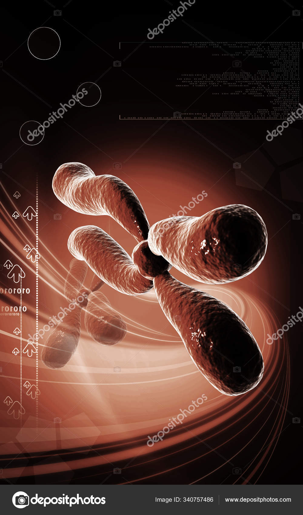 Digital Illustration Chromosome Colour Background Stock Photo by ...