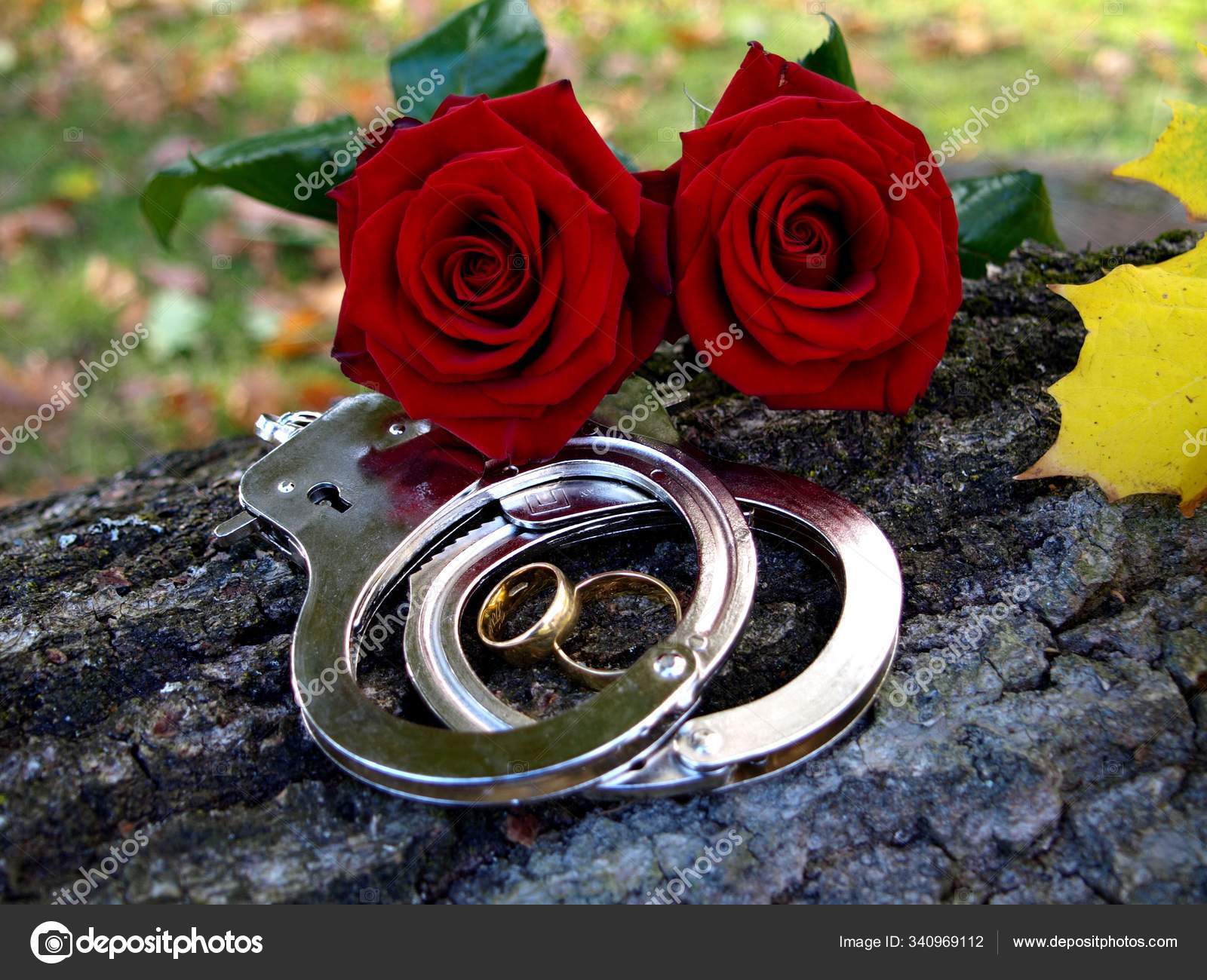 Handcuff And Rose Red
