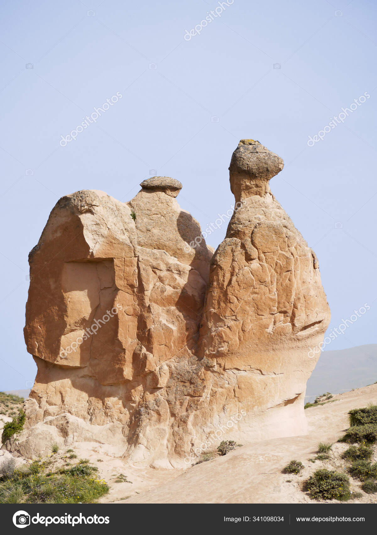 Stone Camel Cappadocia Turkey — Stock Photo © PantherMediaSeller #341098034