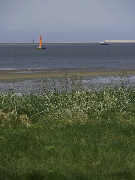 Fotos de Wallops island, Imagens de Wallops island sem royalties ...