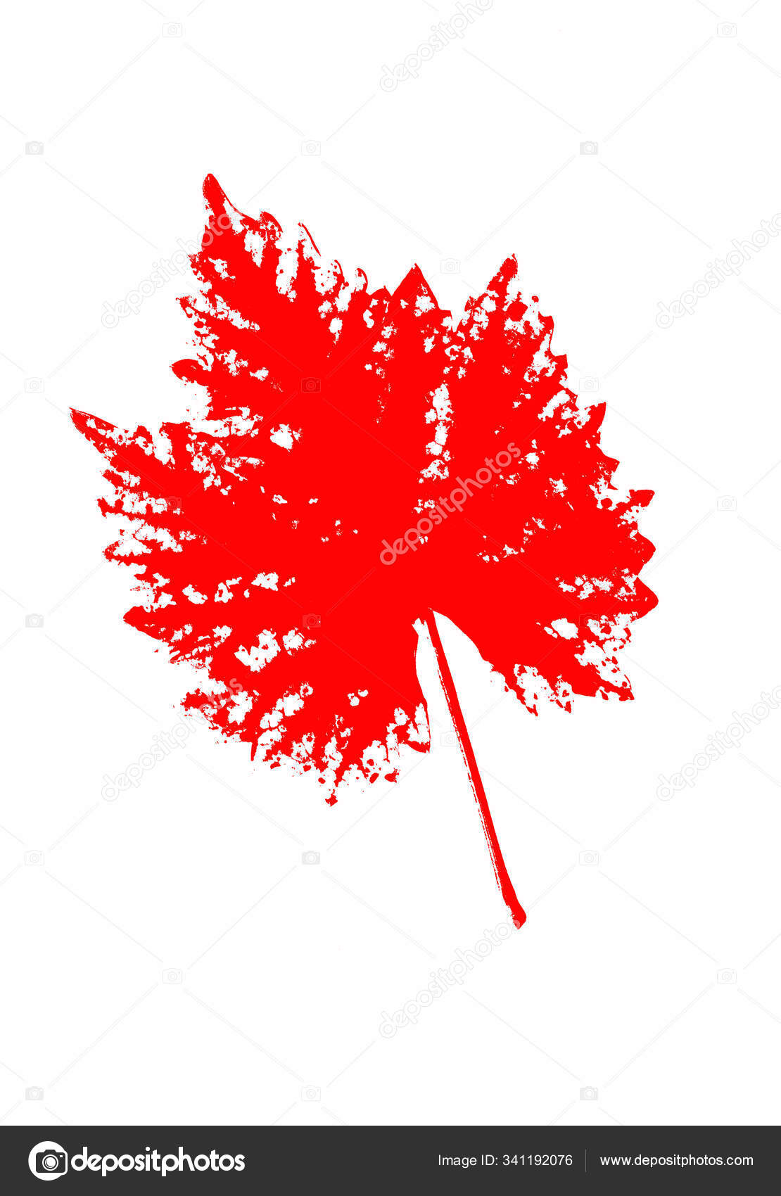 Red Maple Leaf Isolated White Background — Stock Photo ...