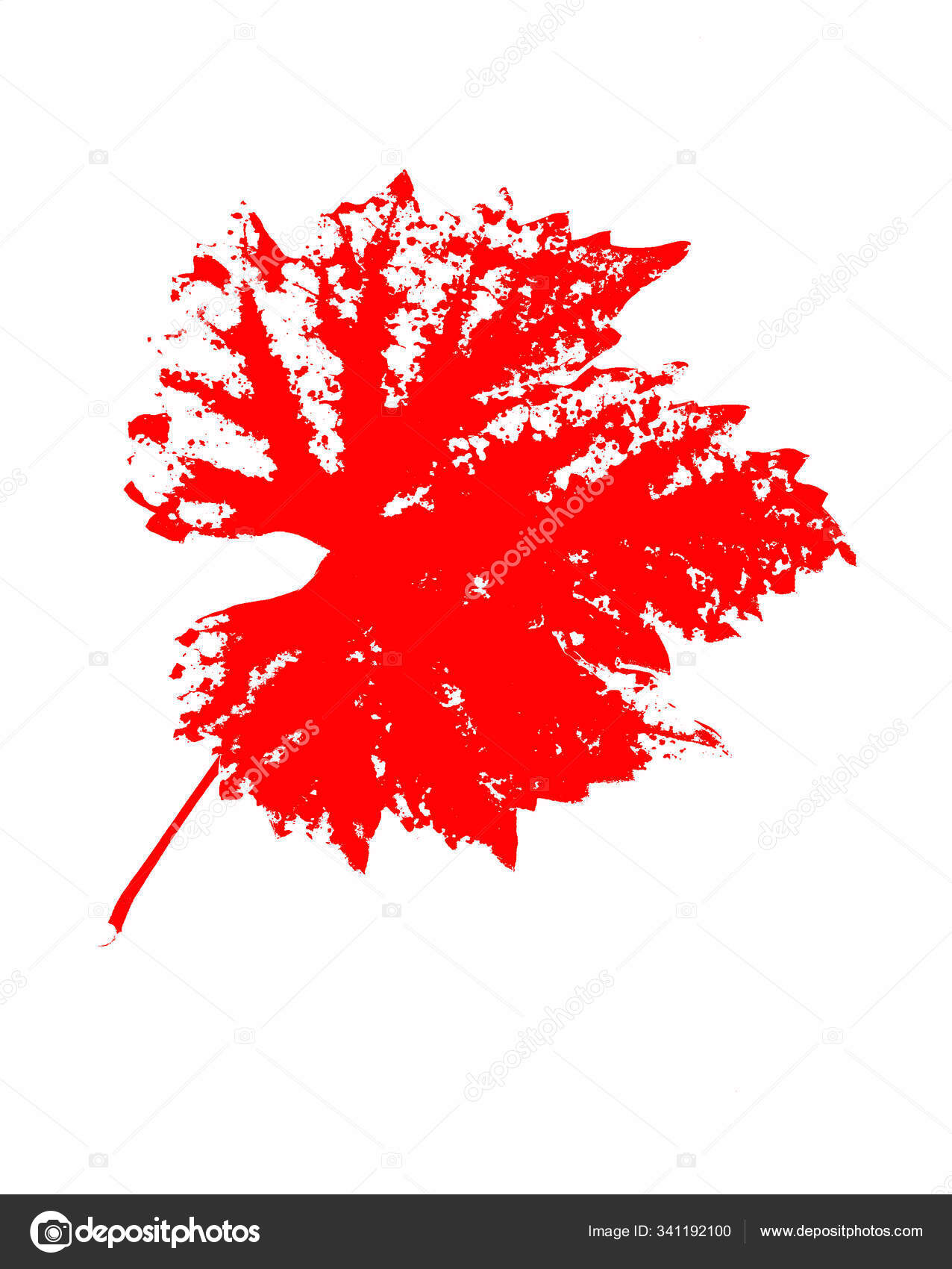 Red Maple Leaf Isolated White Background — Stock Photo ...