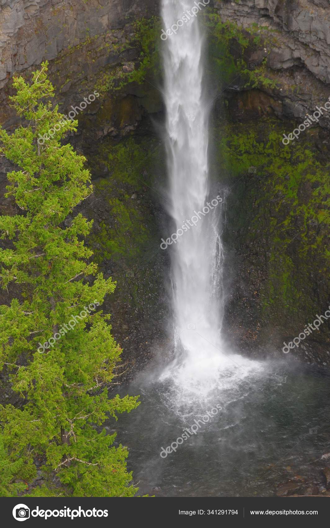 Waterfall Nature River Flow Environment — Stock Photo ...