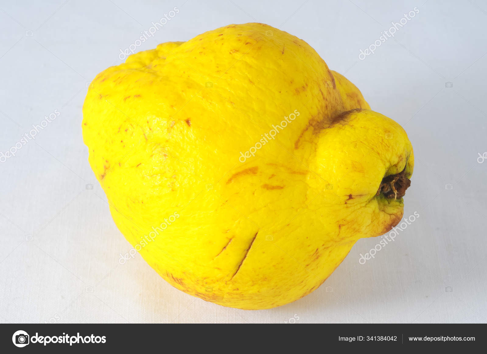 Very Ripe Healthy Cedar White Background — Stock Photo ...