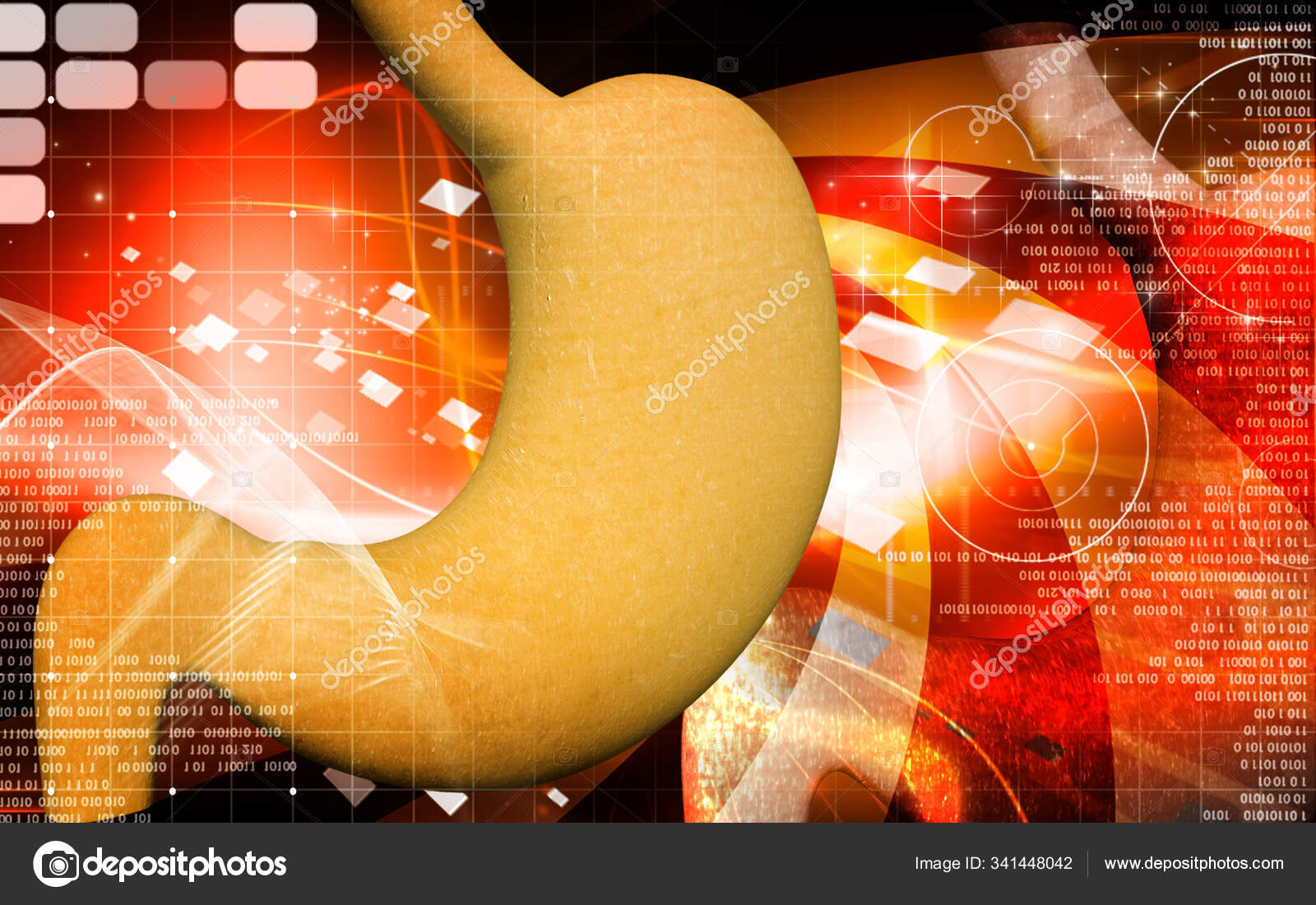 Digital Illustration Stomach Colour Background Stock Photo by ...