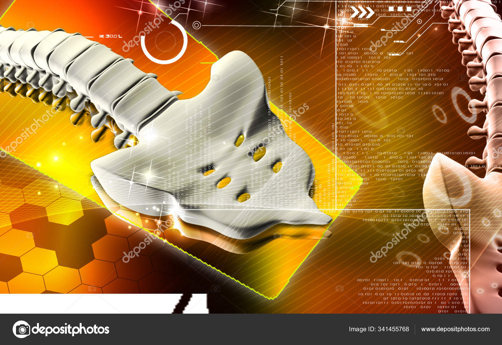 Digital Illustration Back Bone Colour Background Stock Photo by ...