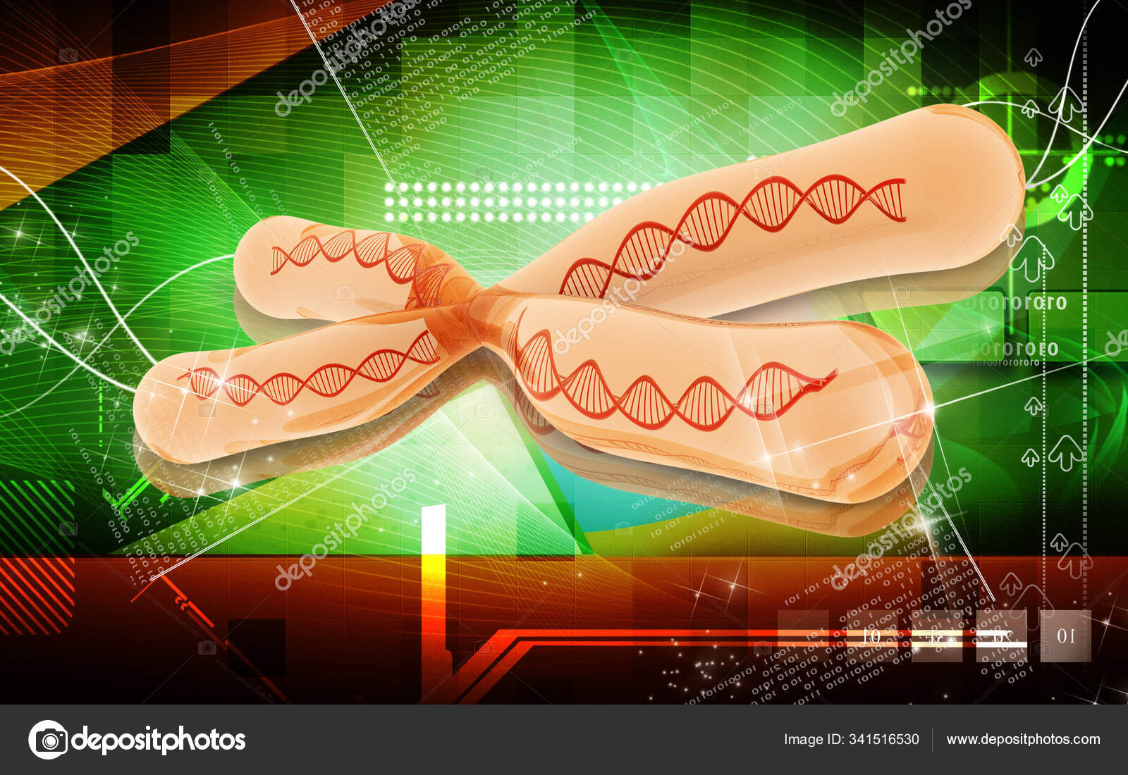 Digital Illustration Chromosome Colour Background Stock Photo by ...