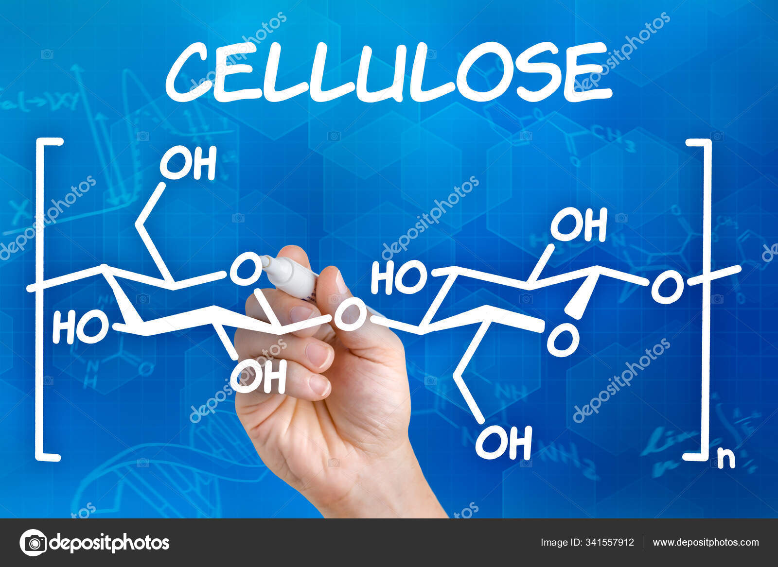 Structural Formula Of Cellulose
