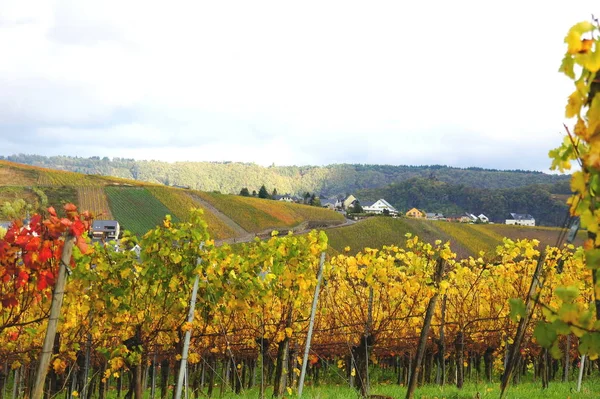 Kinheim Stock Photos, Royalty Free Kinheim Images | Depositphotos