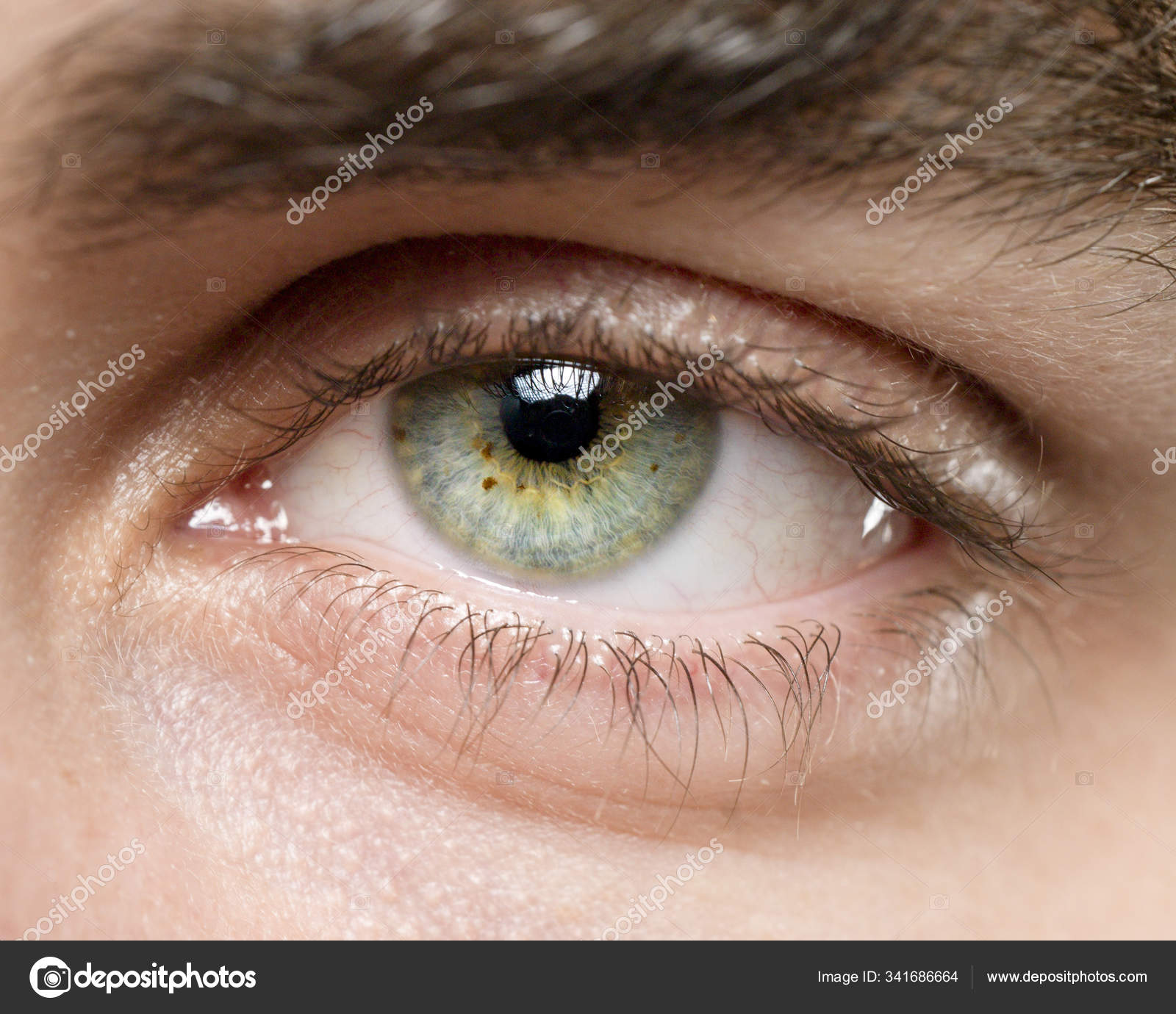 Macro Shot Human Eye — Stock Photo © PantherMediaSeller #341686664