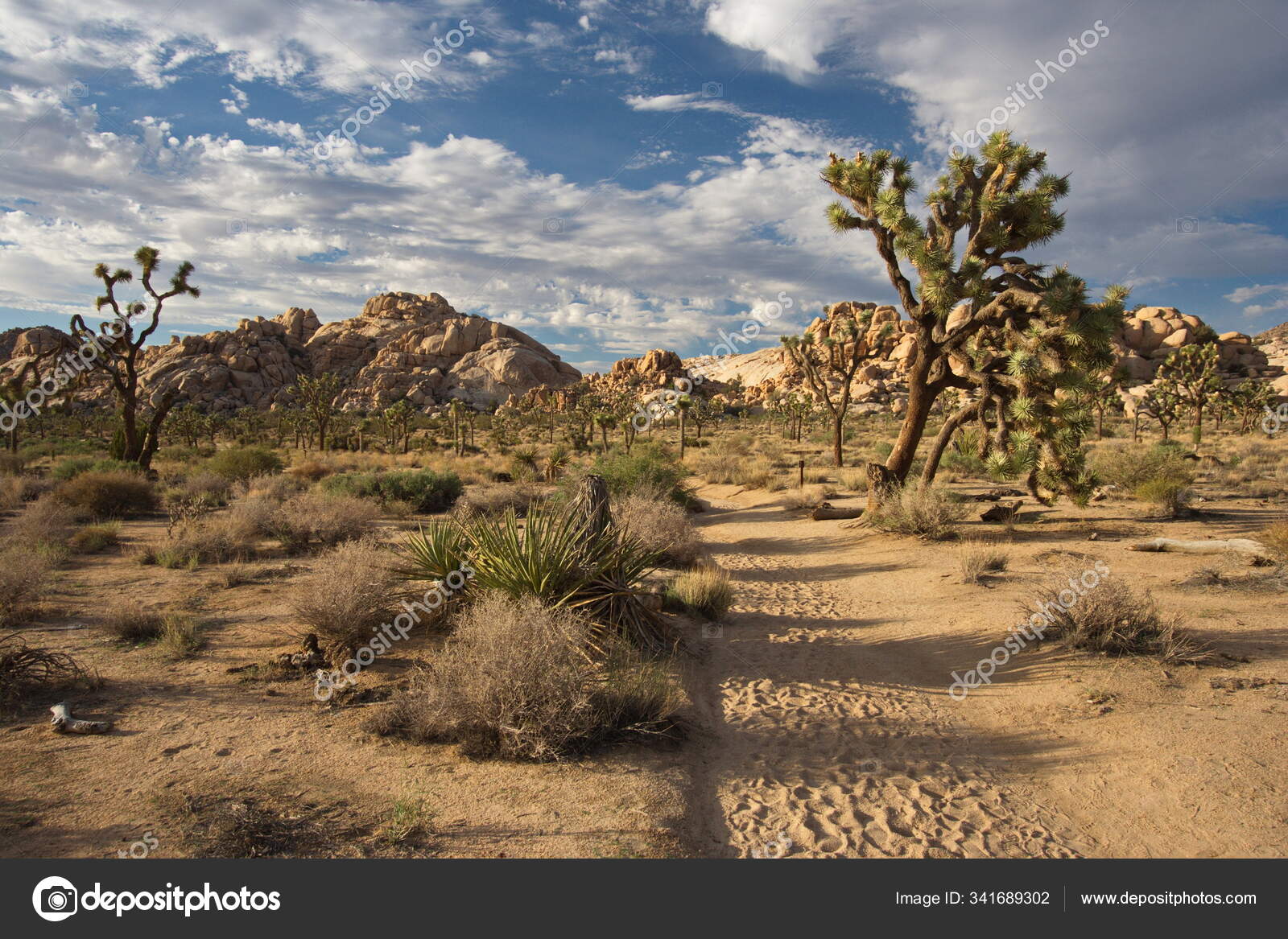 Landscape Barker Dam Joshua Tree National Park California Usa — Stock ...