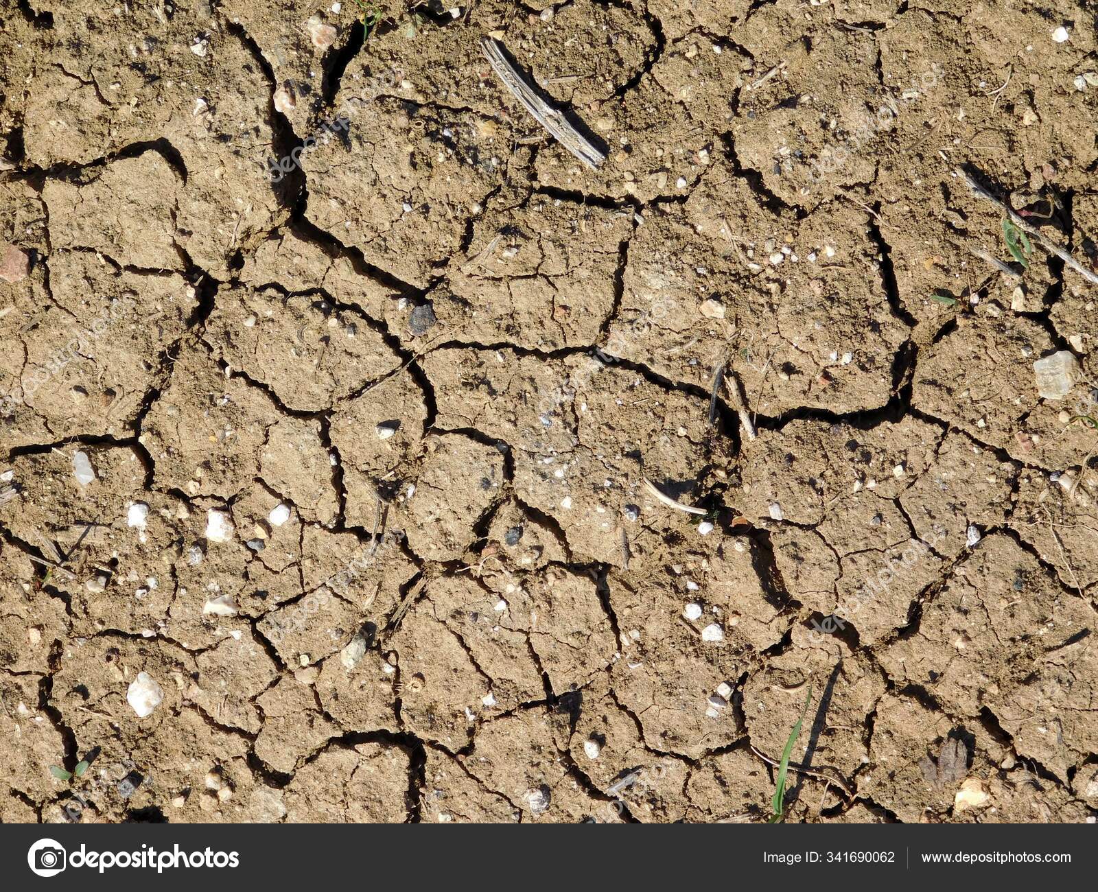 Cracked Soil Texture Background — Stock Photo © PantherMediaSeller ...