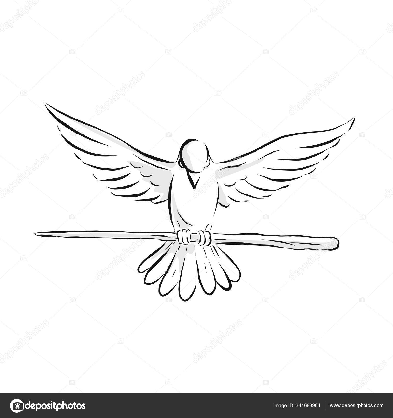 Bird Soaring Outline