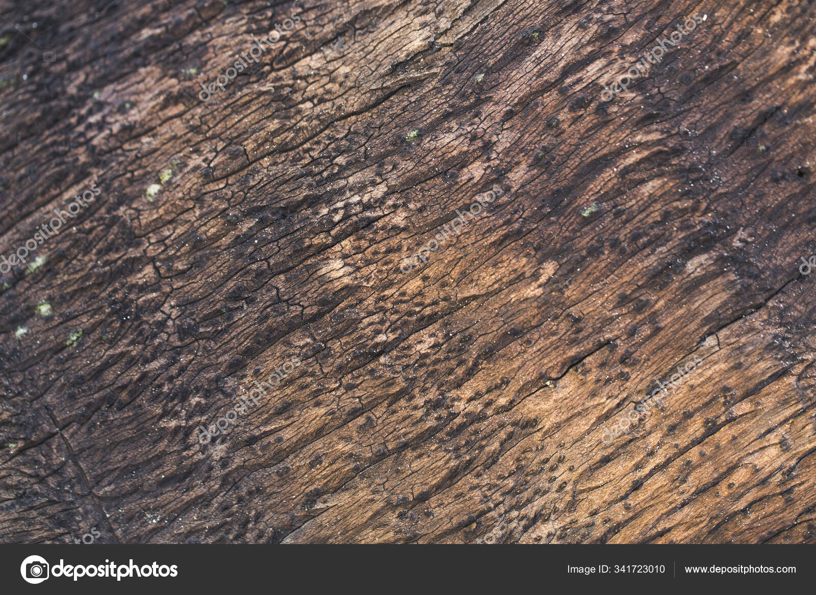 Wonderful Backgrounds Different Organic Structures Thailand Koh Samui ...