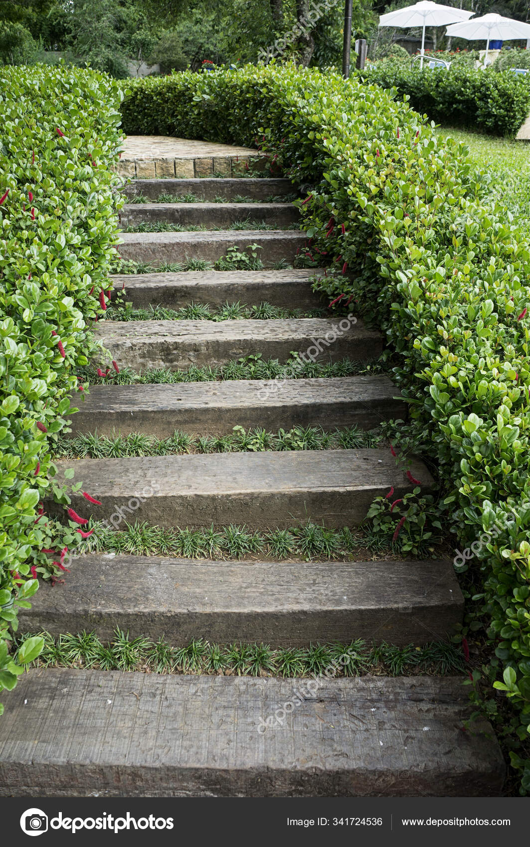 Rail Wood Bushes Path Environment Stock Photo by ©PantherMediaSeller ...