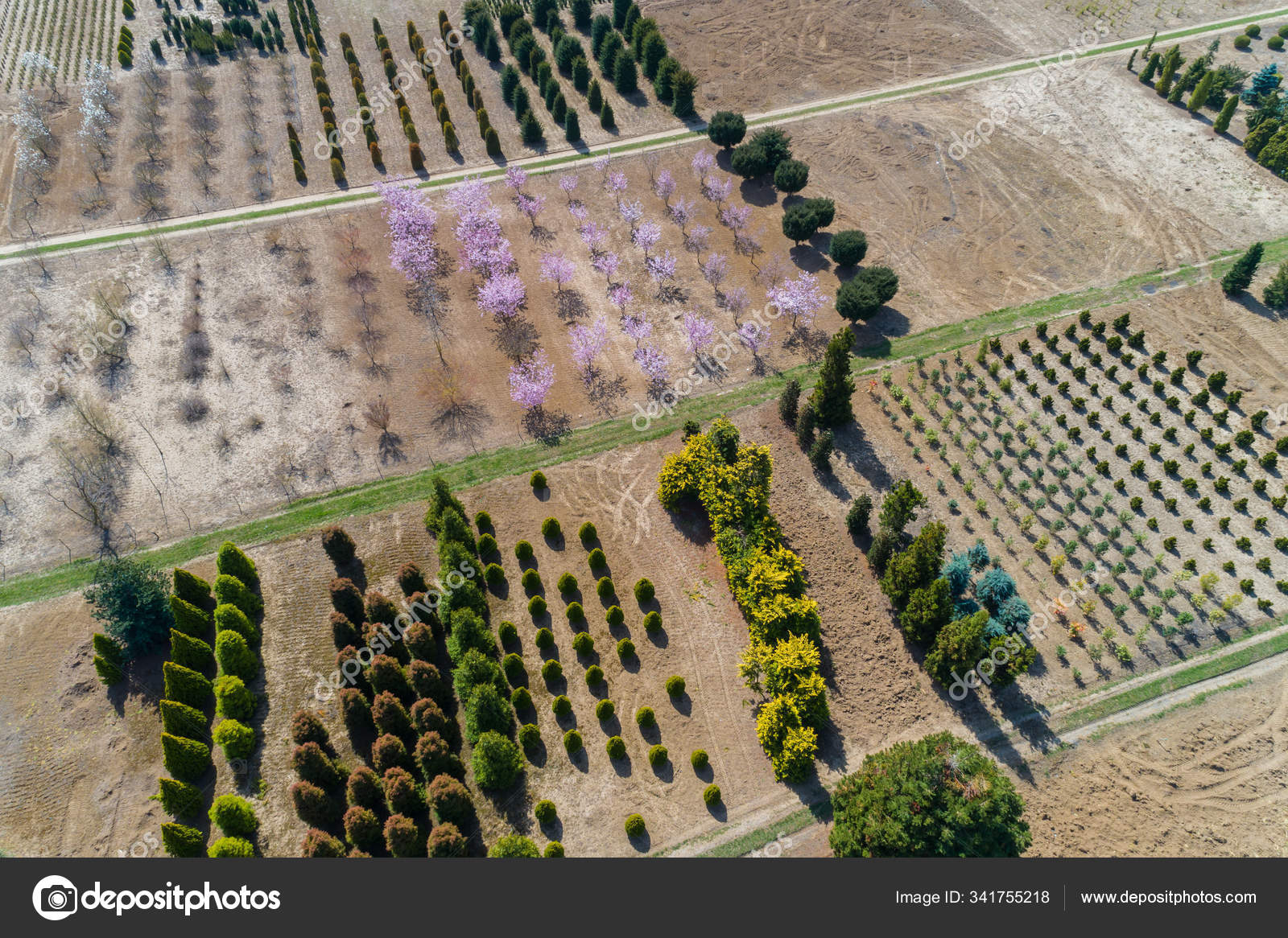 Aerial View Plants Trees Nursery Stock Photo by ©PantherMediaSeller ...