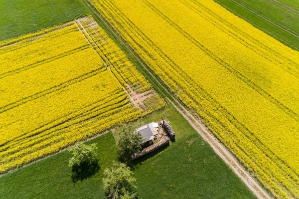 Aerial view of a rapeseed field in the ruhr region of germany images ...